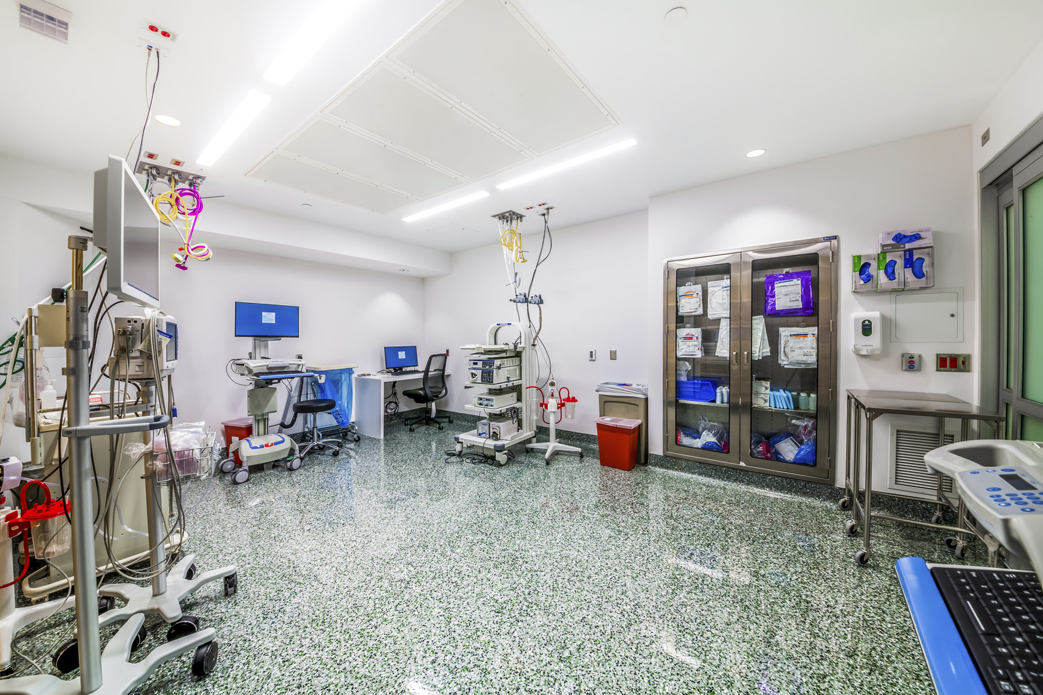 Designing the Ideal Veterinary Endoscopy Suite